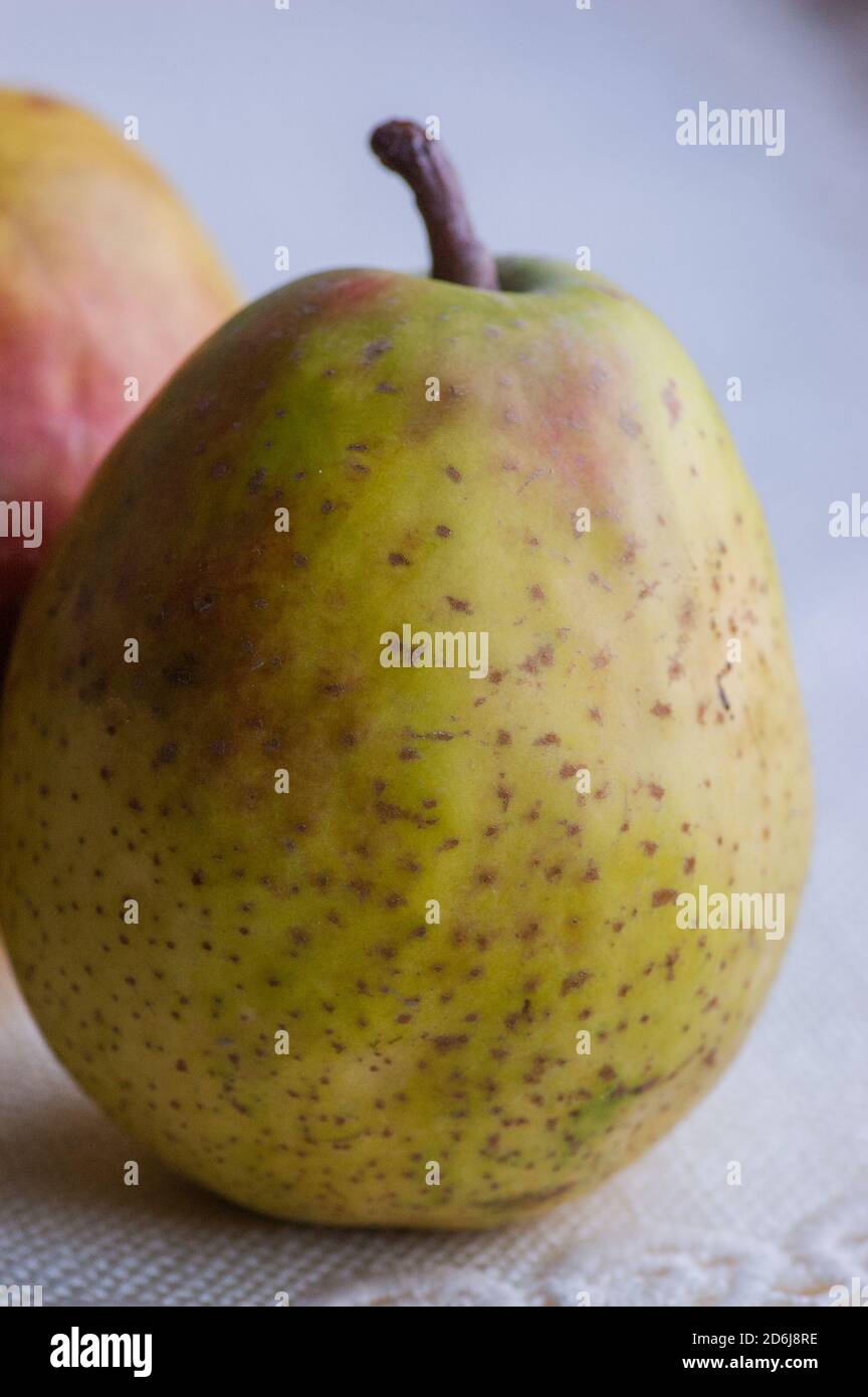 Two pears. Organic fruit. Two pears, fruits and vitamins Stock Photo ...
