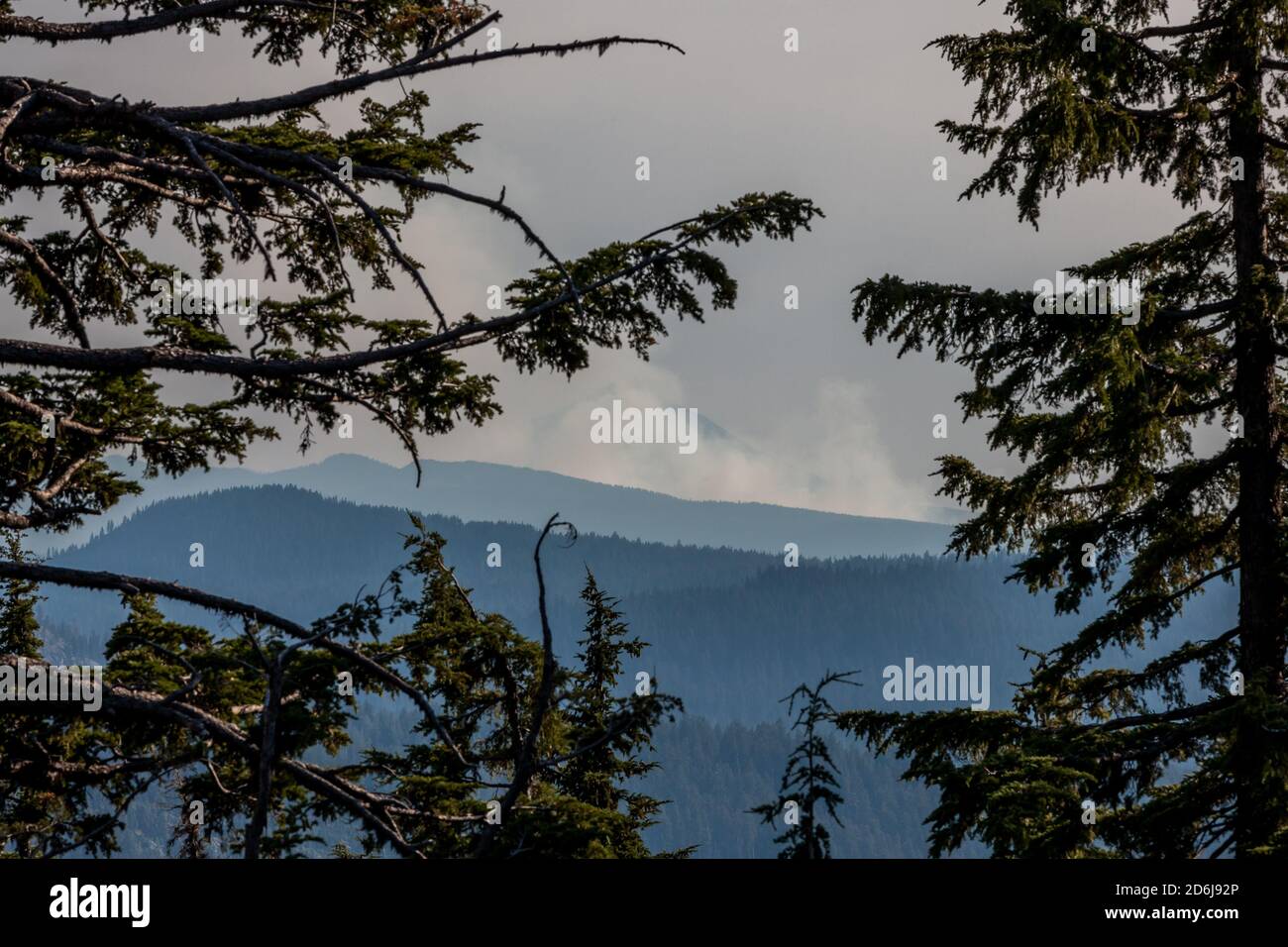 Looking from the rim of Crater Lake through tree branches, heavy smoke ...