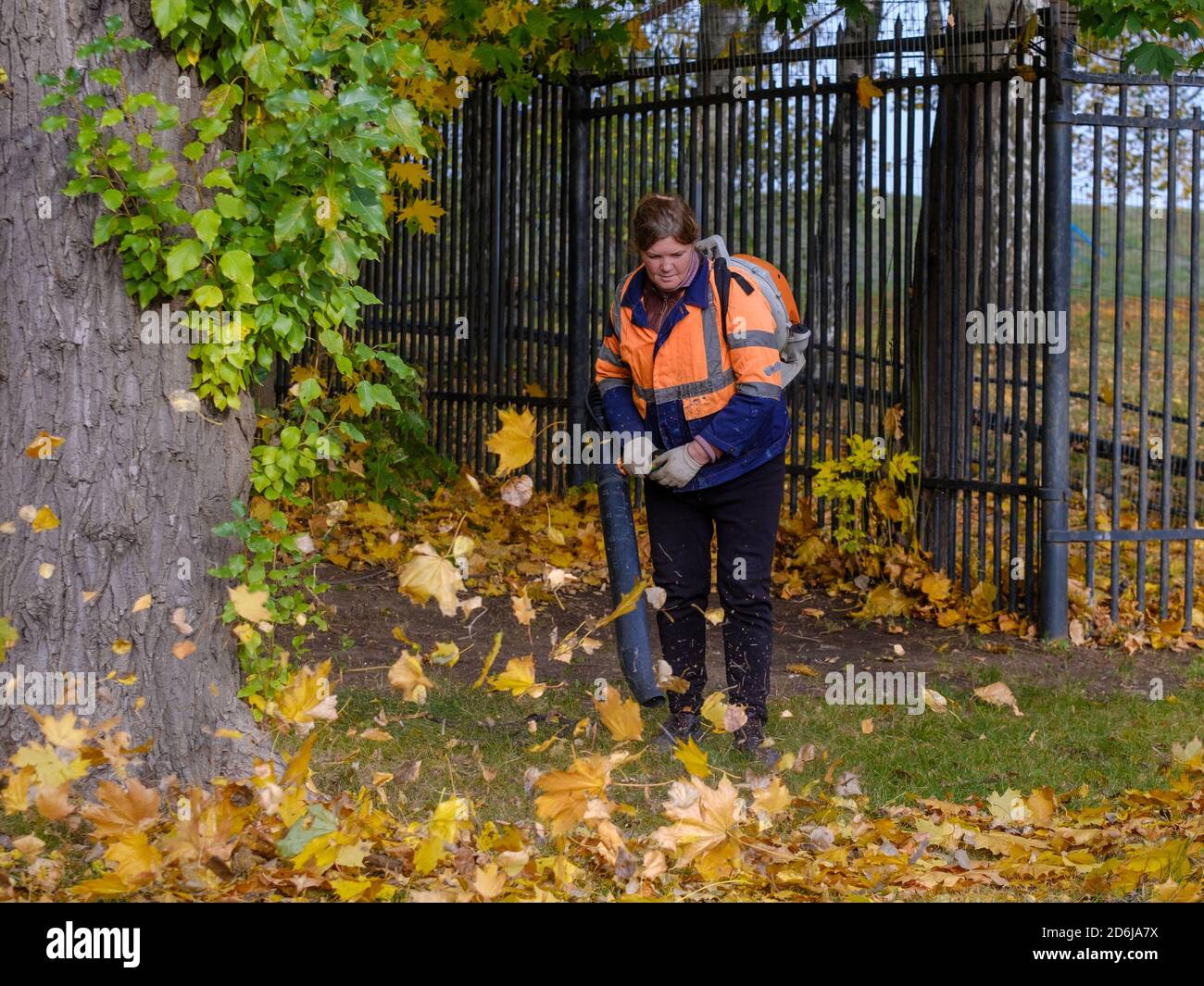 Leaf blower female hi-res stock photography and images - Alamy