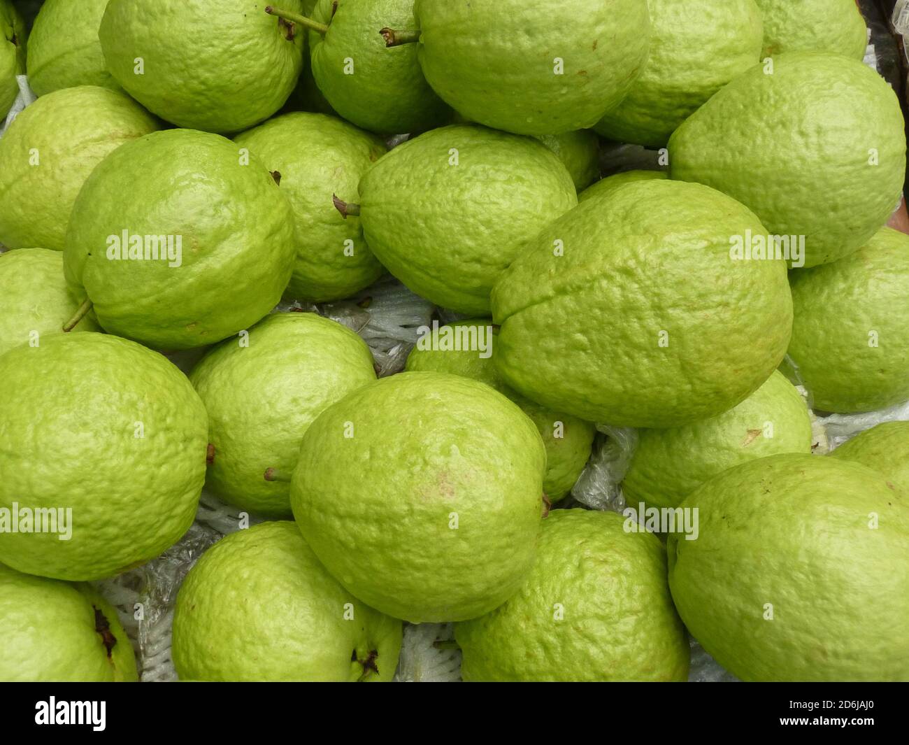 Common guavas hi-res stock photography and images - Alamy