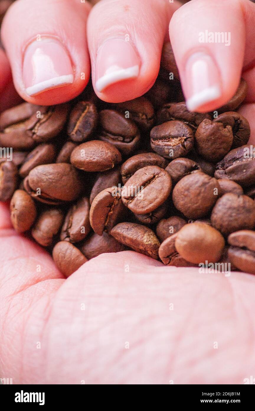 Coffee beans background. Light roasted natural coffee beans. Morning ...