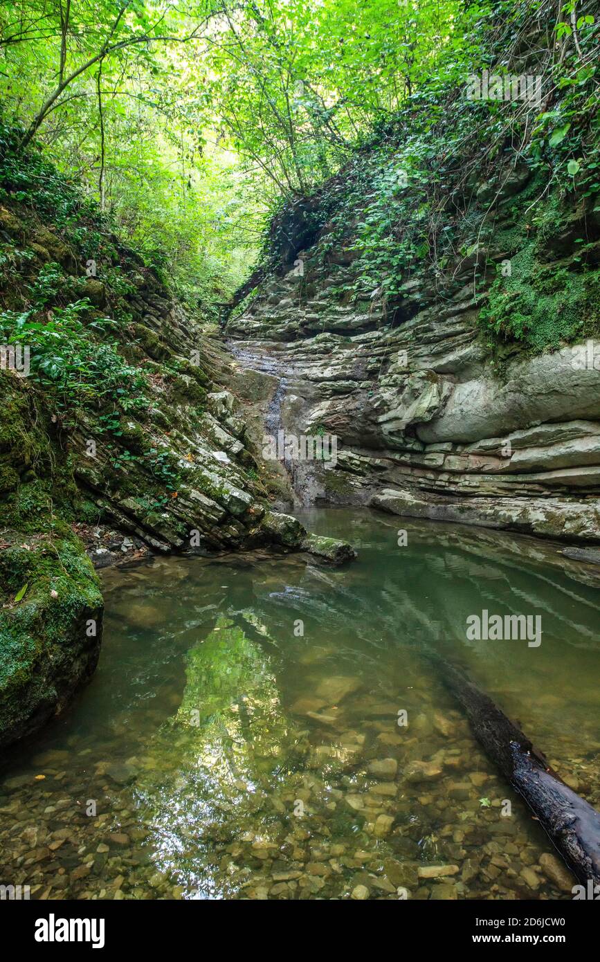 Crab gorge - small reservoir and stream in Big Sochi region ...