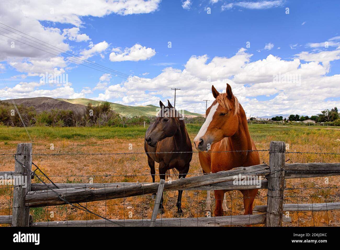 Scenic kentucky horse farm hi-res stock photography and images - Alamy