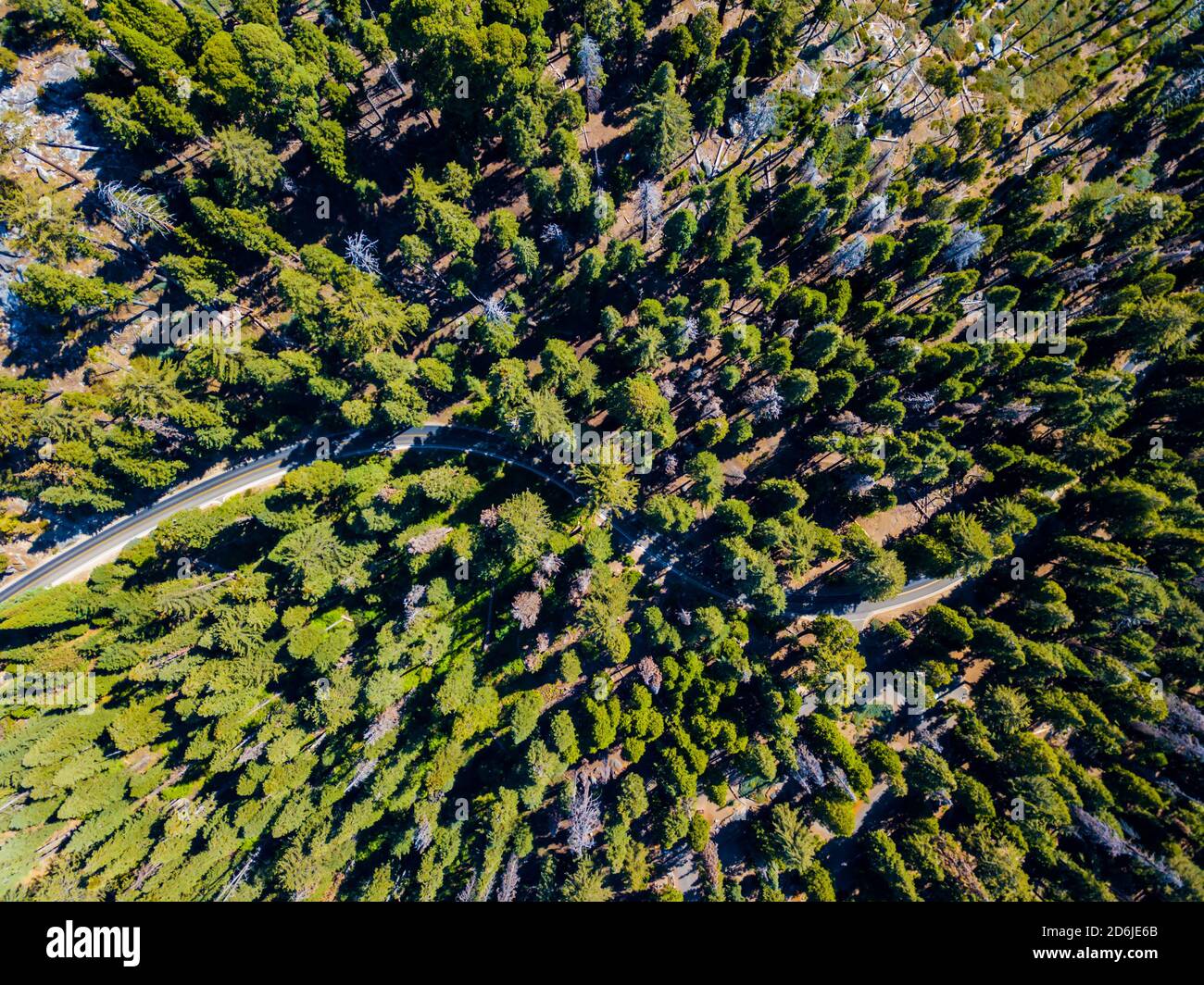 Aerial top view mesmerizing sequoia forest Stock Photo - Alamy