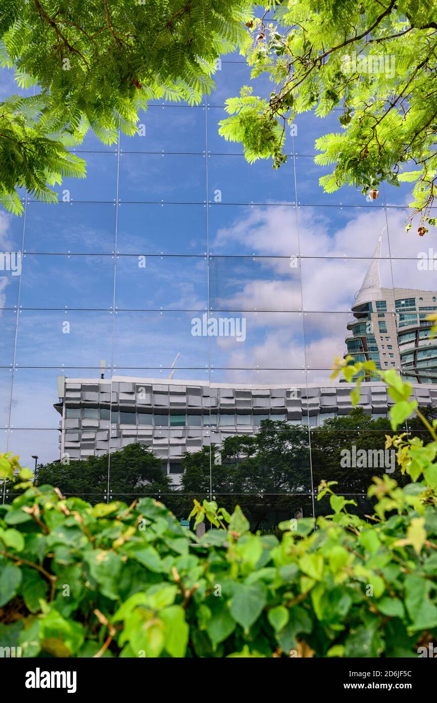 Modern buildings reflecting on glass walls surrounded by greenery under ...
