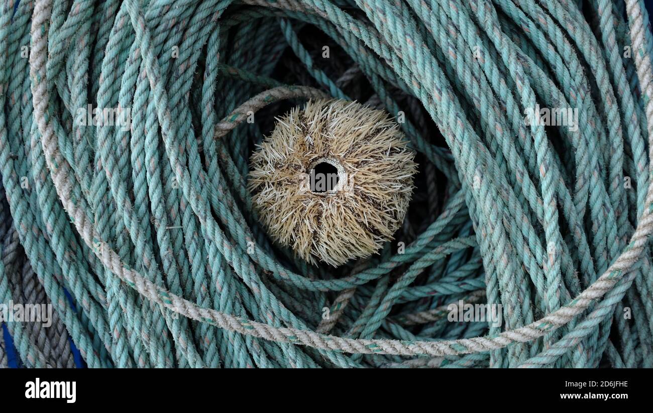 Top view of fishing ropes on a platform at daylight Stock Photo - Alamy