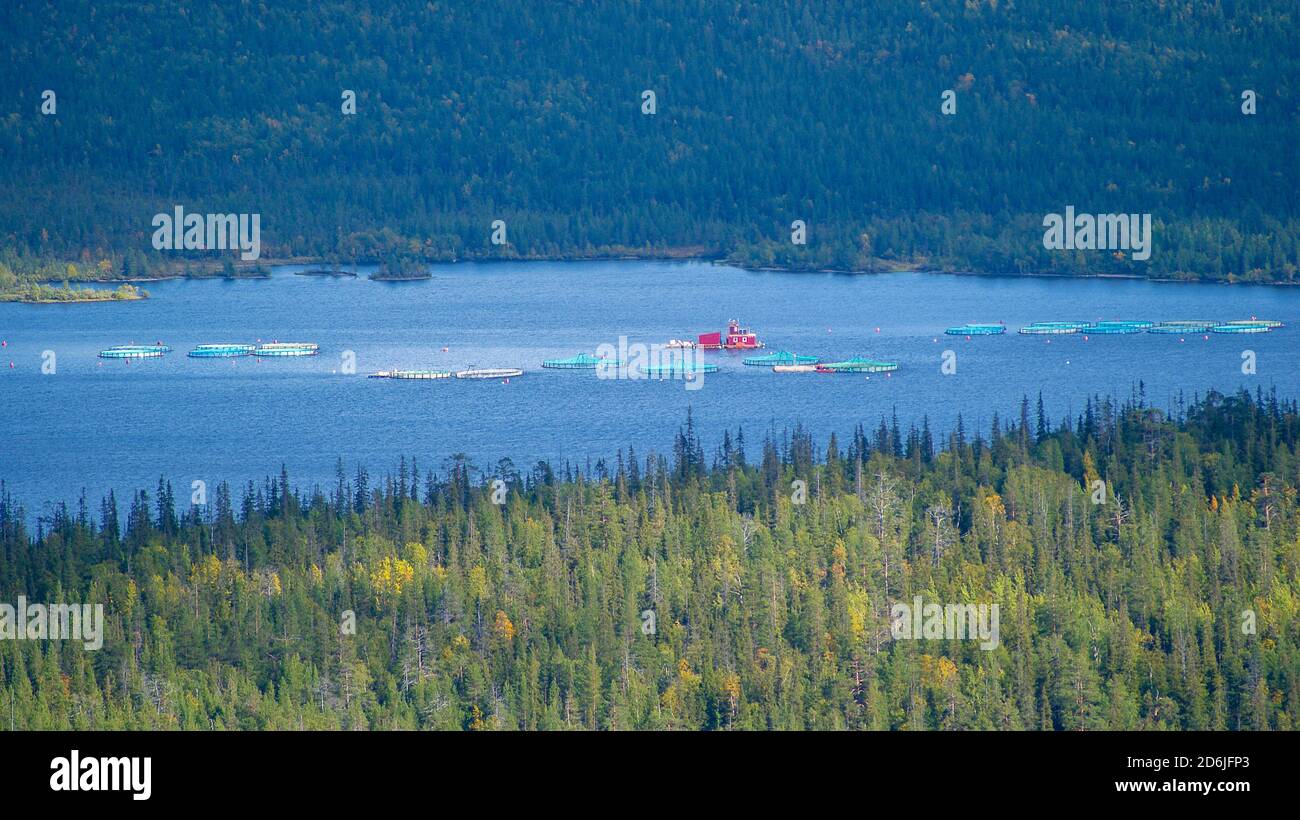 The stunning nature of the Russian north. Tundra, Murmansk region ...