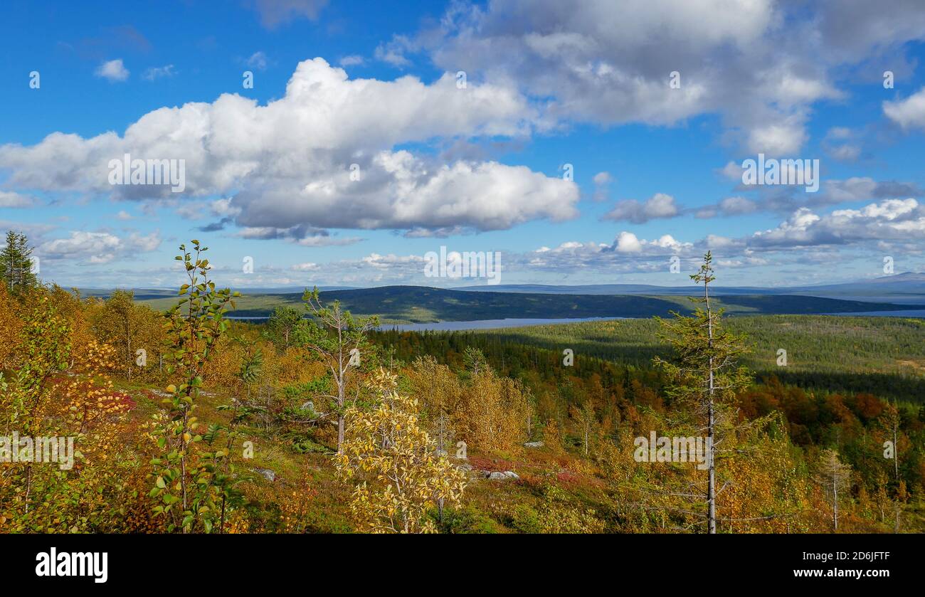 The stunning nature of the Russian north. Tundra, Murmansk region ...