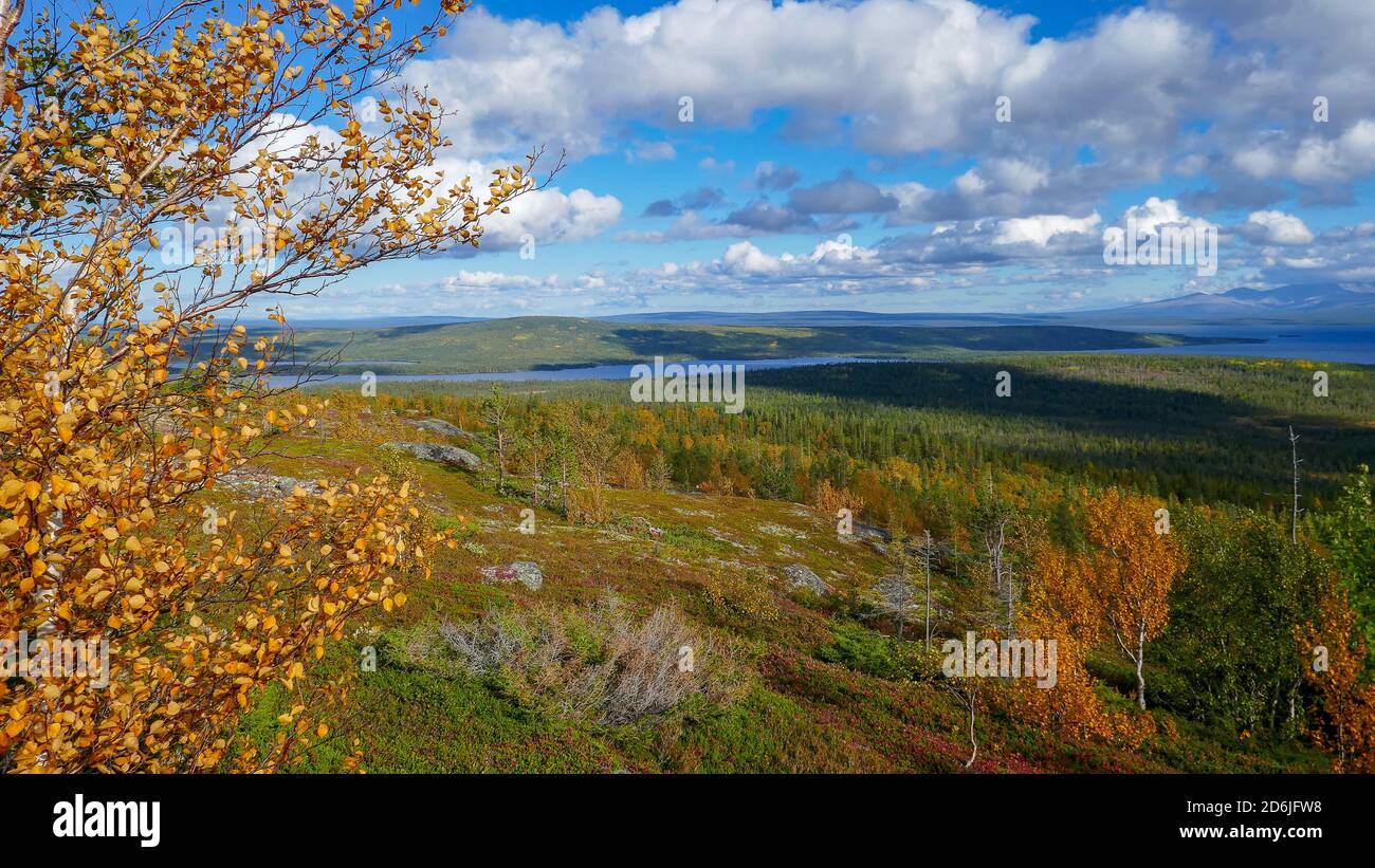 The stunning nature of the Russian north. Tundra, Murmansk region ...