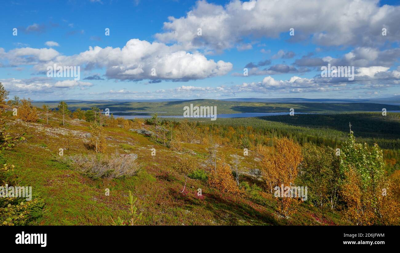 The stunning nature of the Russian north. Tundra, Murmansk region ...