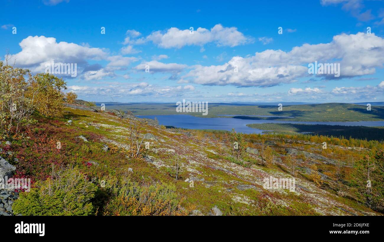 The stunning nature of the Russian north. Tundra, Murmansk region ...