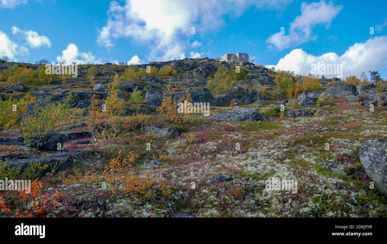 The stunning nature of the Russian north. Tundra, Murmansk region ...