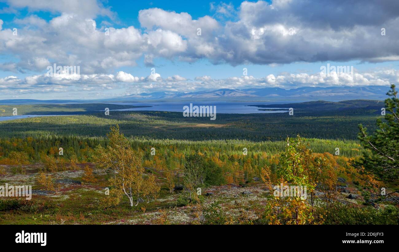 The stunning nature of the Russian north. Tundra, Murmansk region ...