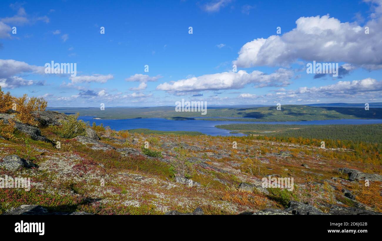 The stunning nature of the Russian north. Tundra, Murmansk region ...