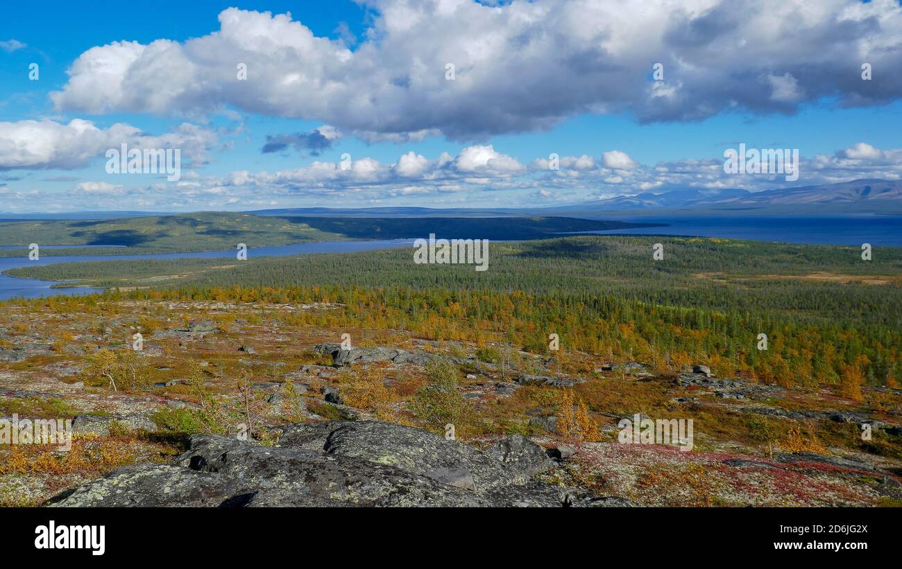 The stunning nature of the Russian north. Tundra, Murmansk region ...