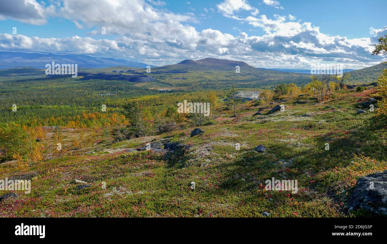 The stunning nature of the Russian north. Tundra, Murmansk region ...