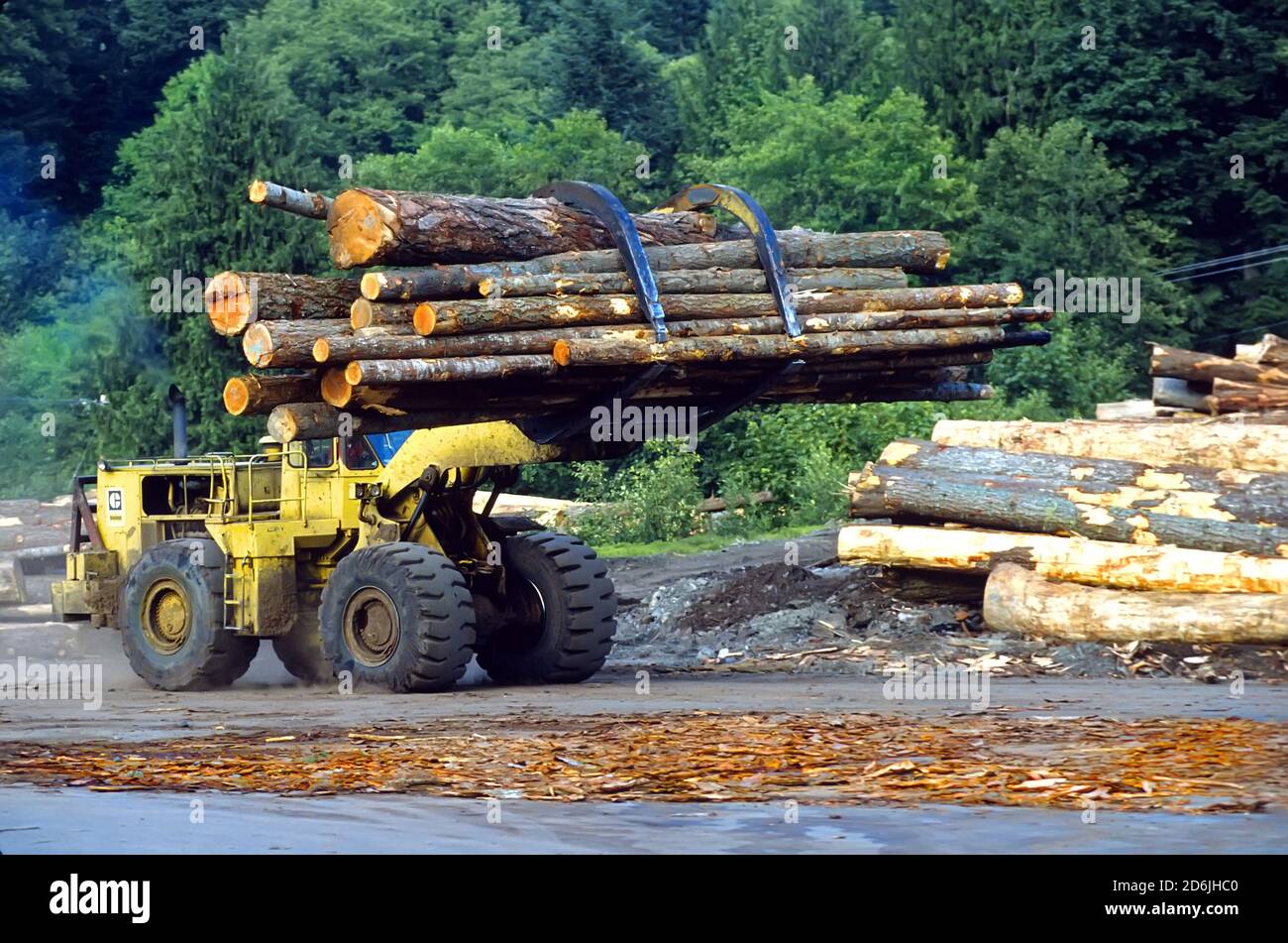 Logging in washington state hi-res stock photography and images - Alamy