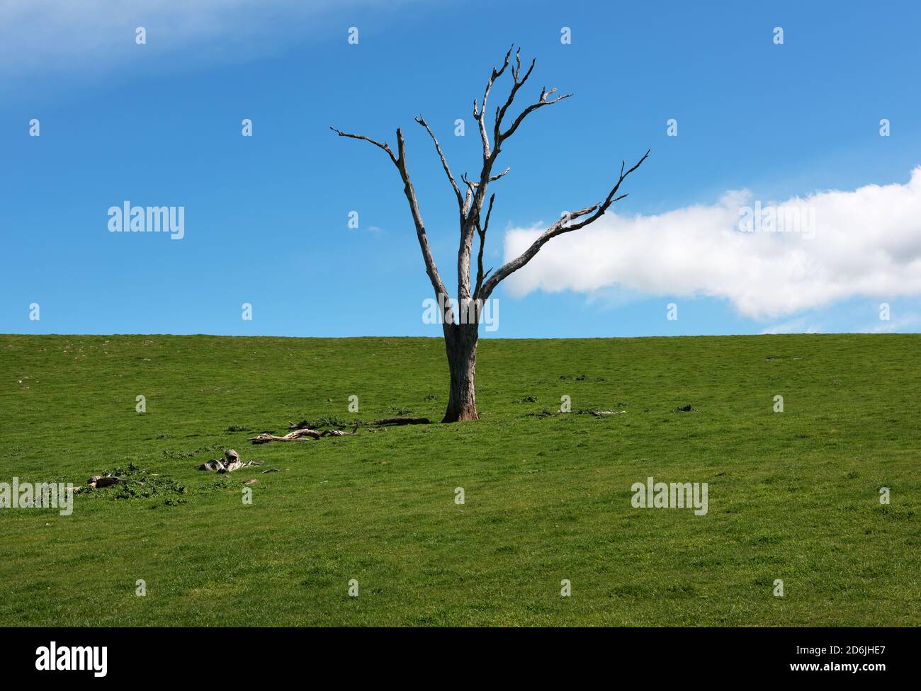 Wheeo hi-res stock photography and images - Alamy