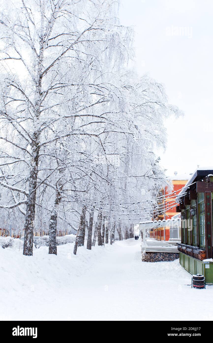 Beautiful Snow Falling Wallpapers