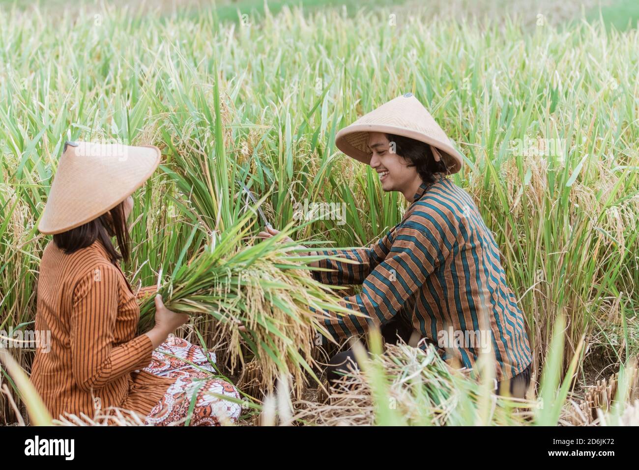 Indonesian farmers working in green agriculture field, man and woman ...