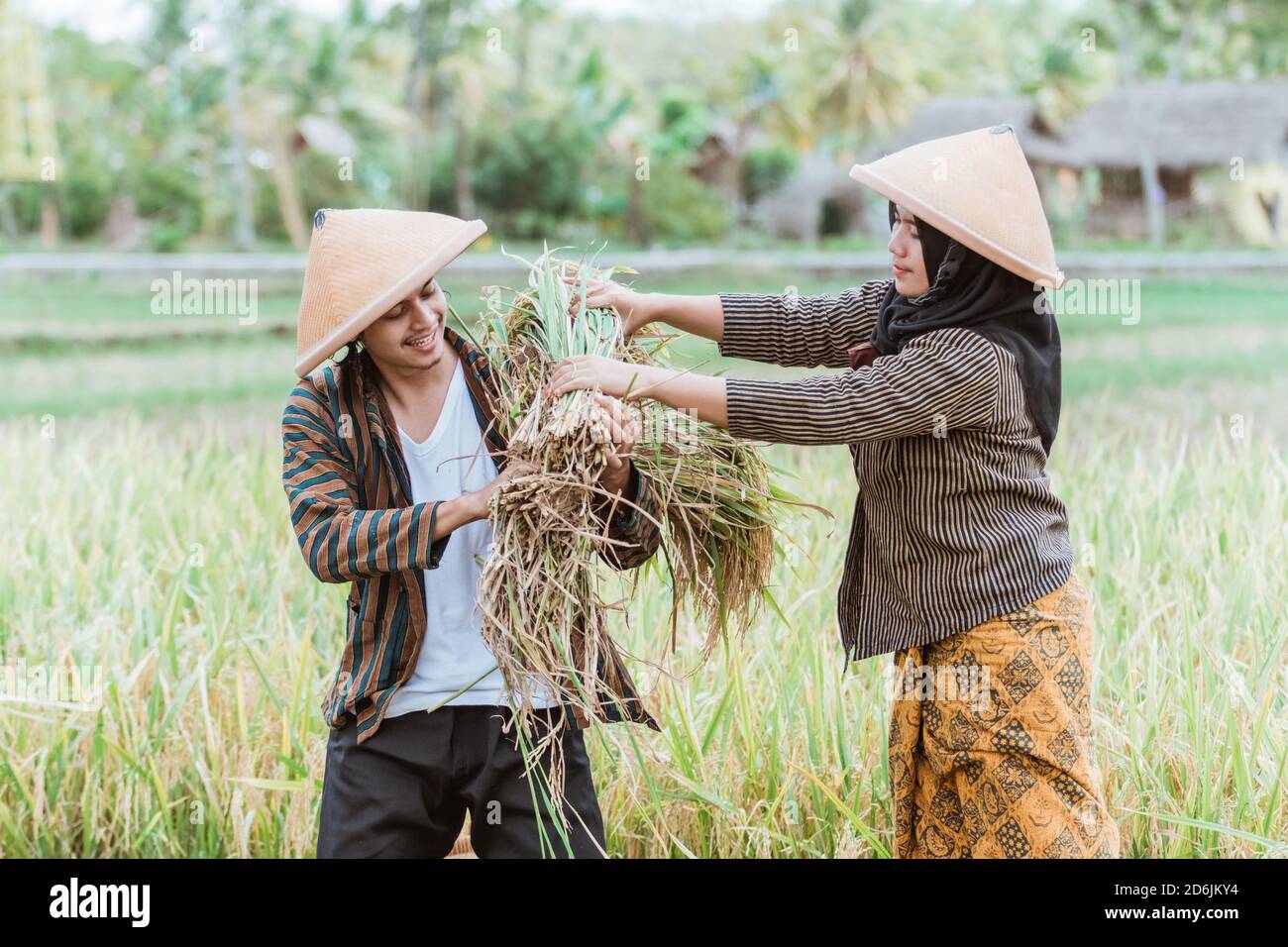 Collective Farming High Resolution Stock Photography and Images - Alamy