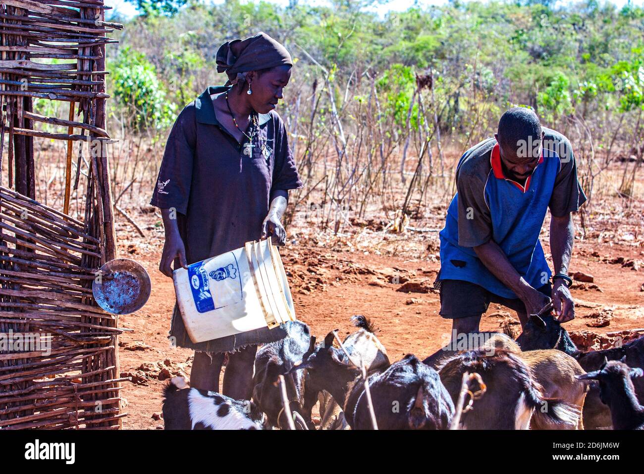 Haitian goat farmers, rural scene Stock Photo - Alamy