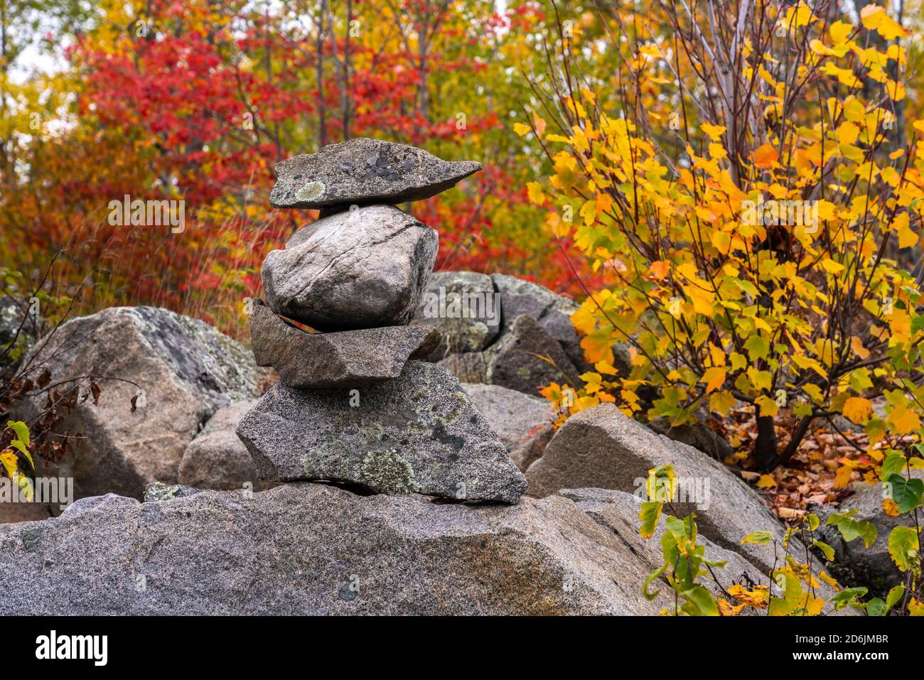 Fall foliage color in the rocks near Fort Frances, Ontario, Canada ...