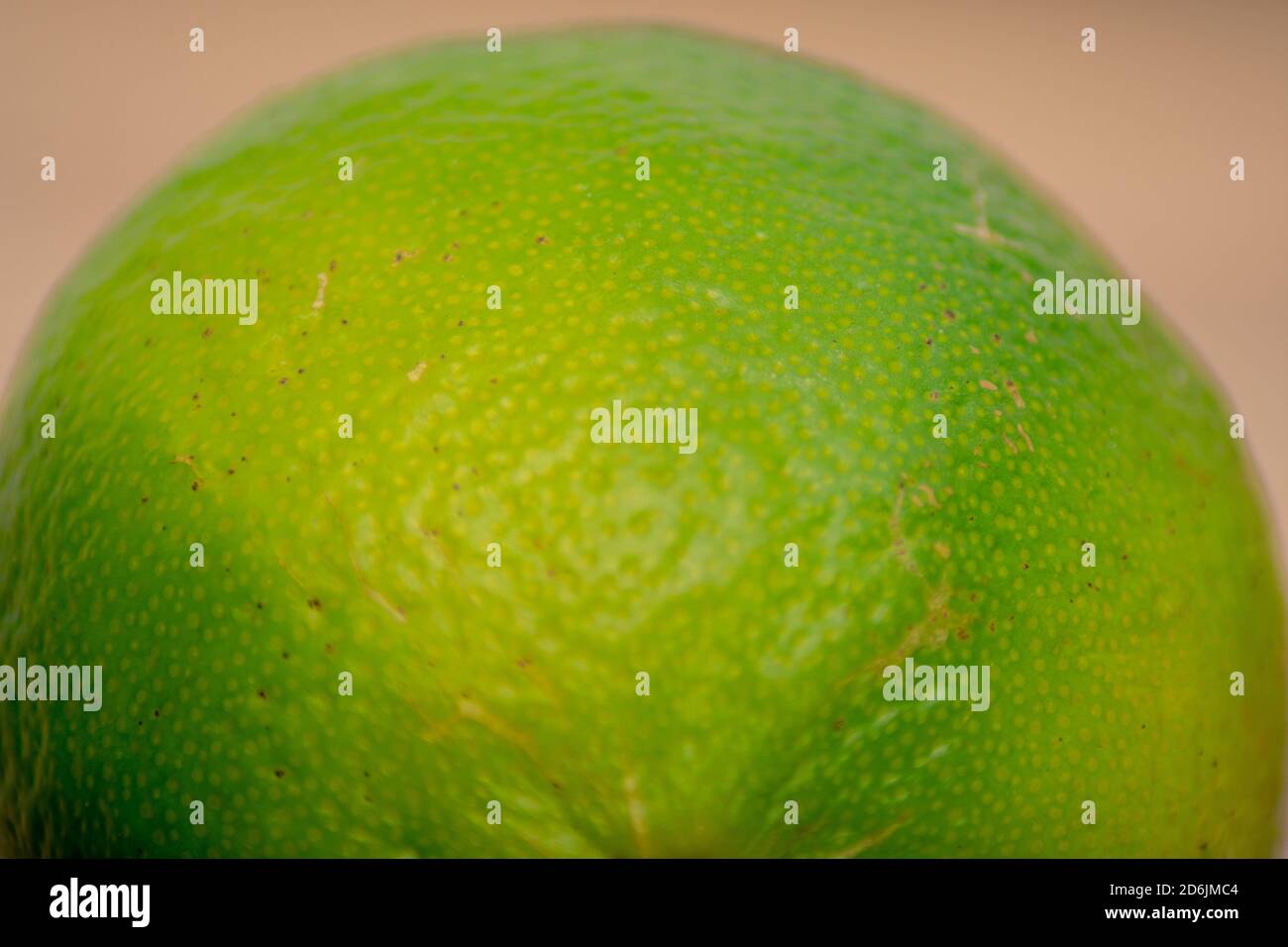 Group of little green plant hi-res stock photography and images - Alamy