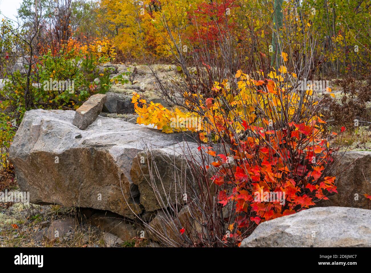 Autumn color and rocks hi-res stock photography and images - Alamy