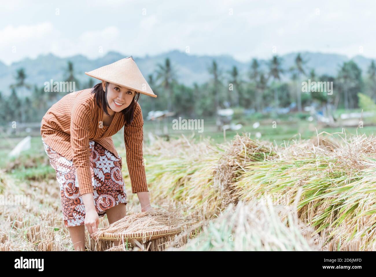 Javanese female farmers bow when bringing the rice crop with woven ...