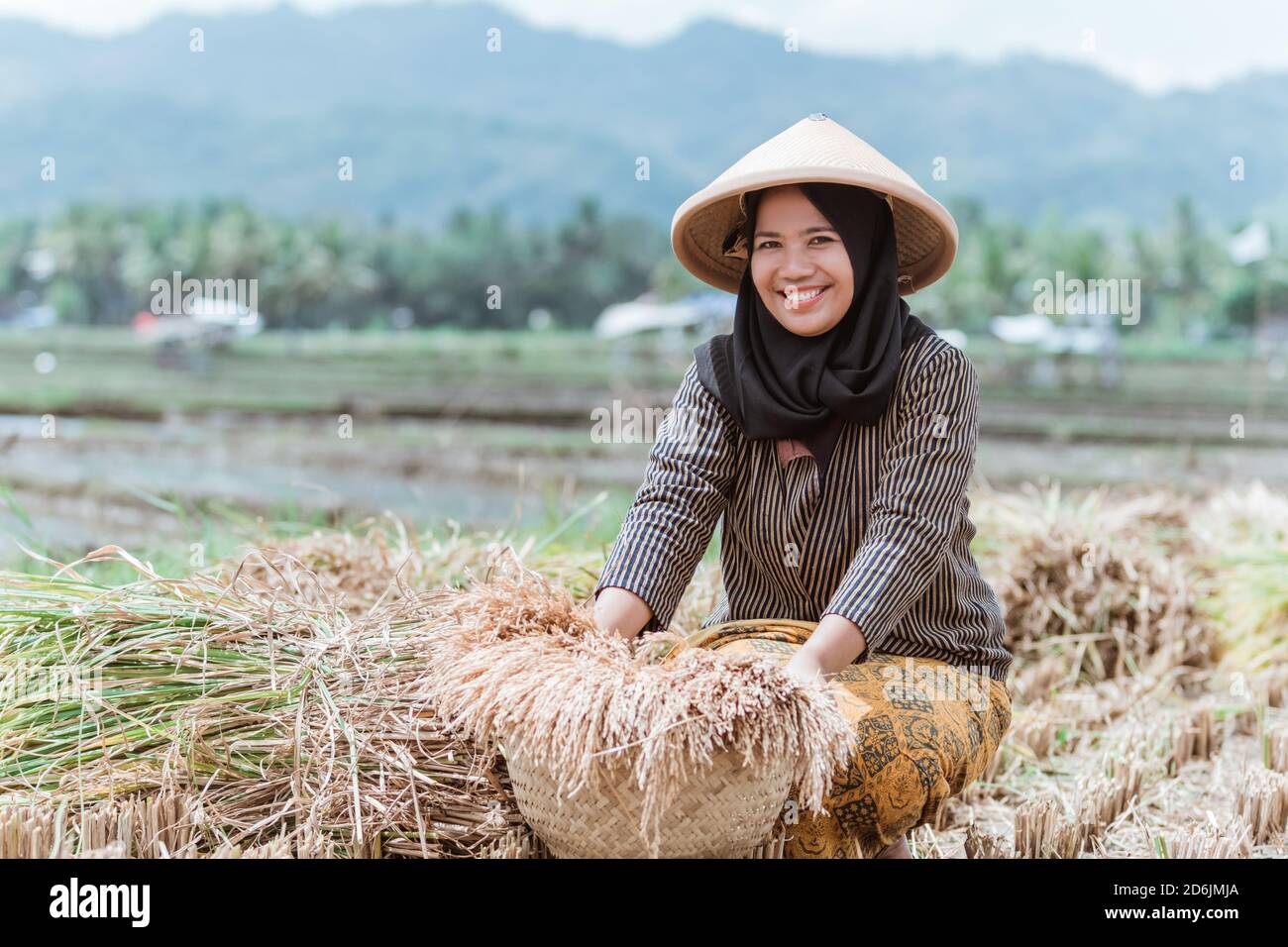 Javanese Muslim female farmers bring their rice crops with woven bamboo ...