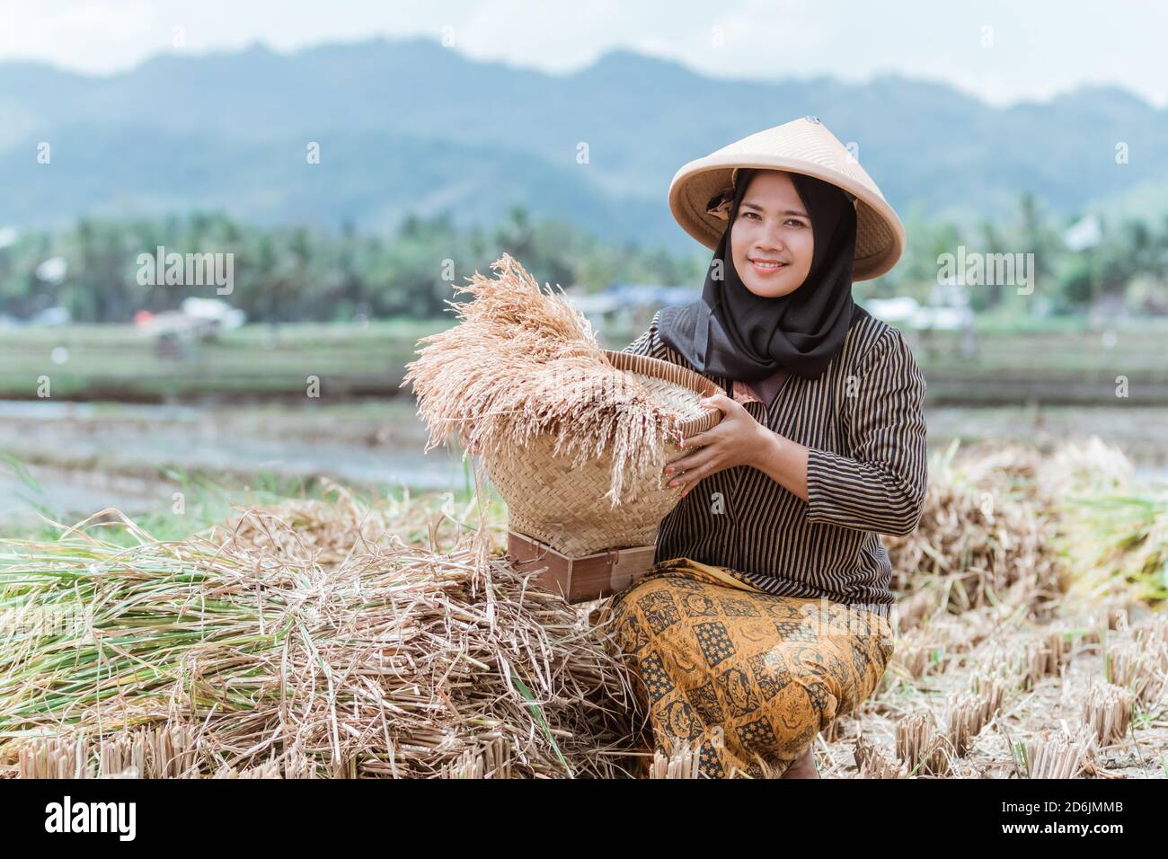Asian Muslim female farmers raise their rice crops with woven bamboo ...