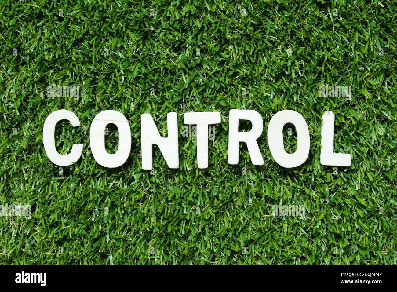 Wood alphabet letter in word control on artificial green grass ...