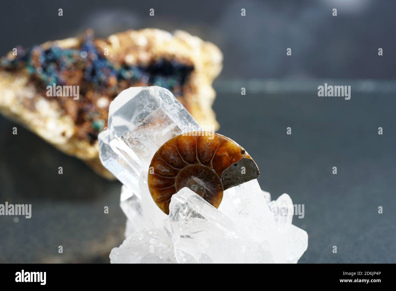 Clear quartz animal hi-res stock photography and images - Alamy