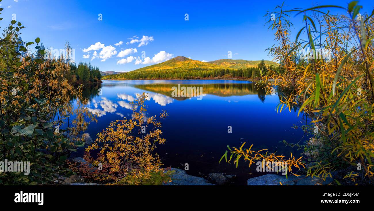 The nature of the Magadan region. Panoramic shot. A beautiful flat ...