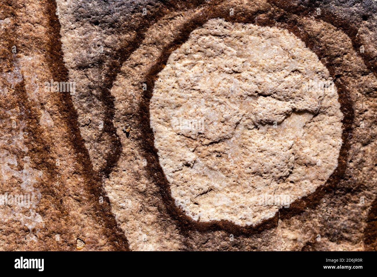 Limestone close up sedimentary rock hi-res stock photography and images ...