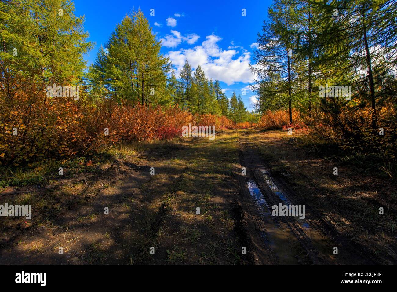 Magadan region hi-res stock photography and images - Alamy