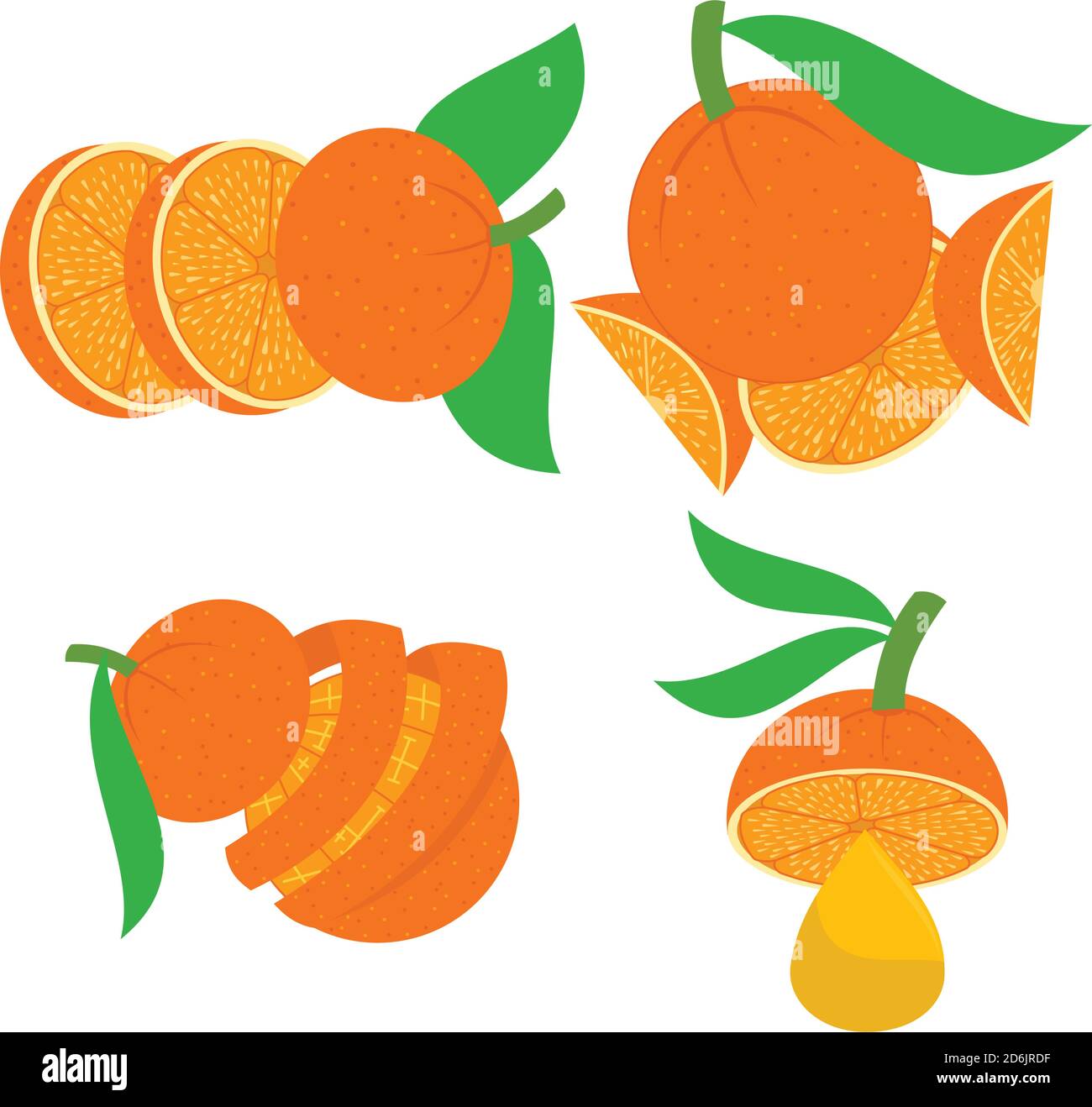 Orange illustration Design Section Template Set Stock Vector Image ...