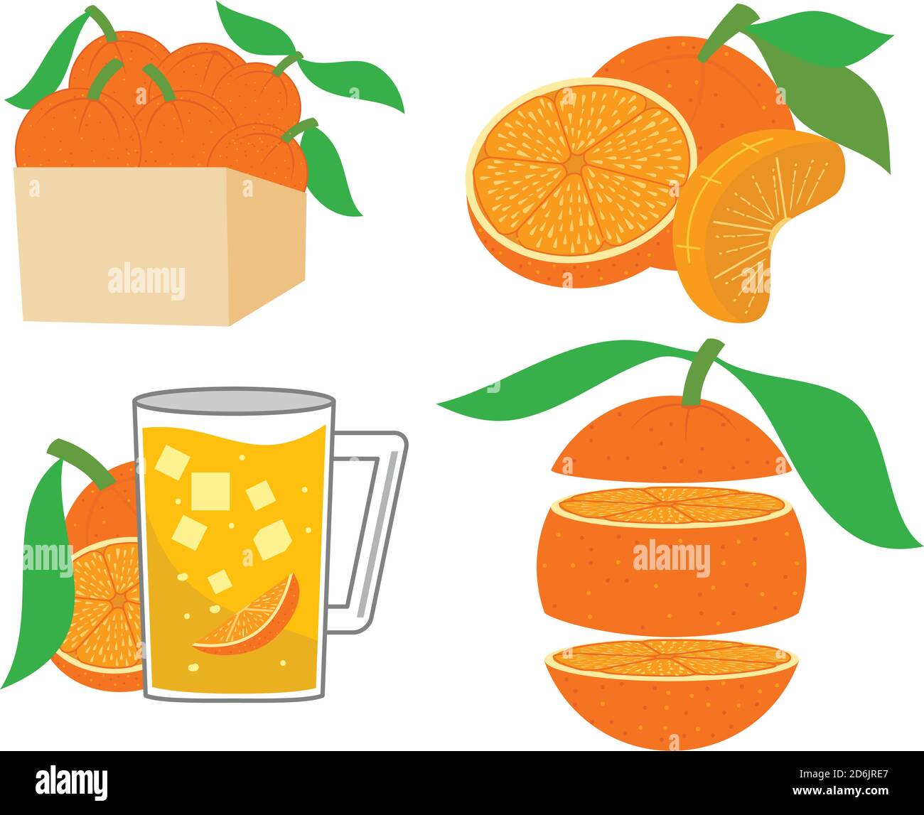 Orange illustration Design Fruit Template Set Stock Vector Image & Art ...