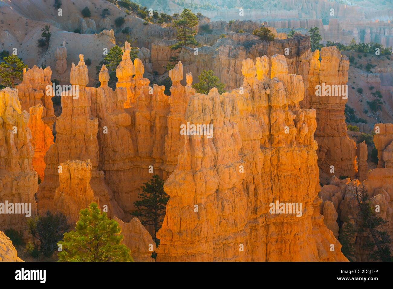 Orange-yellow sandstone spires sculpted by the forces of nature, Bryce ...