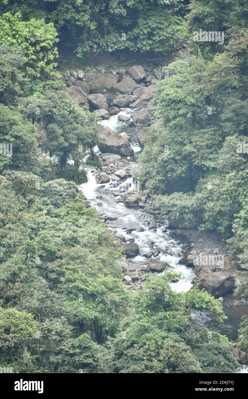 path in the forest, in costa rica central america Stock Photo - Alamy