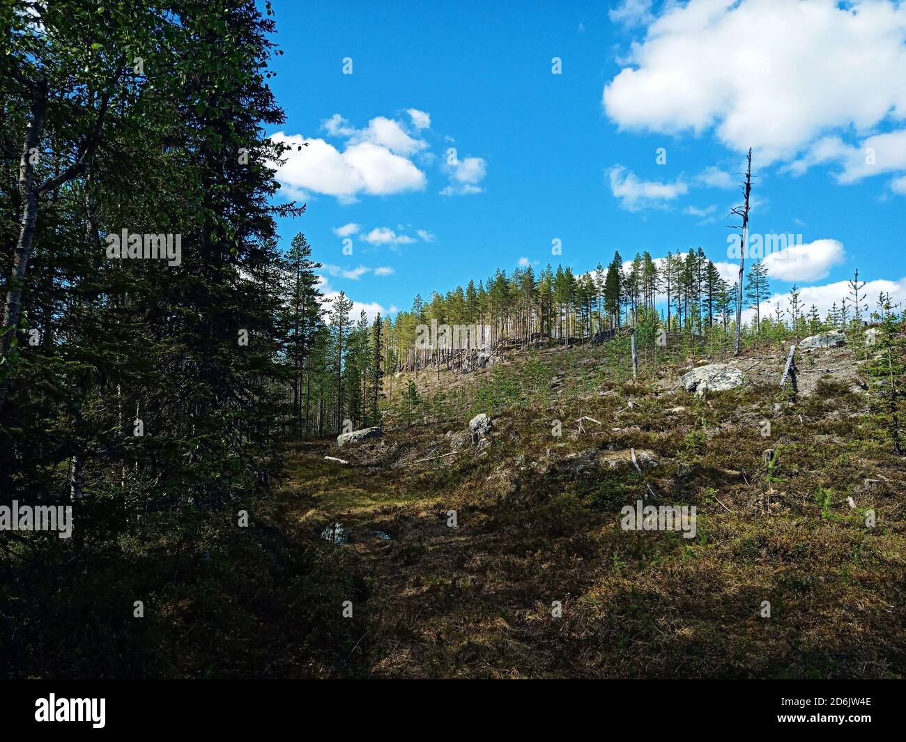 Vasterbotten county hi-res stock photography and images - Alamy
