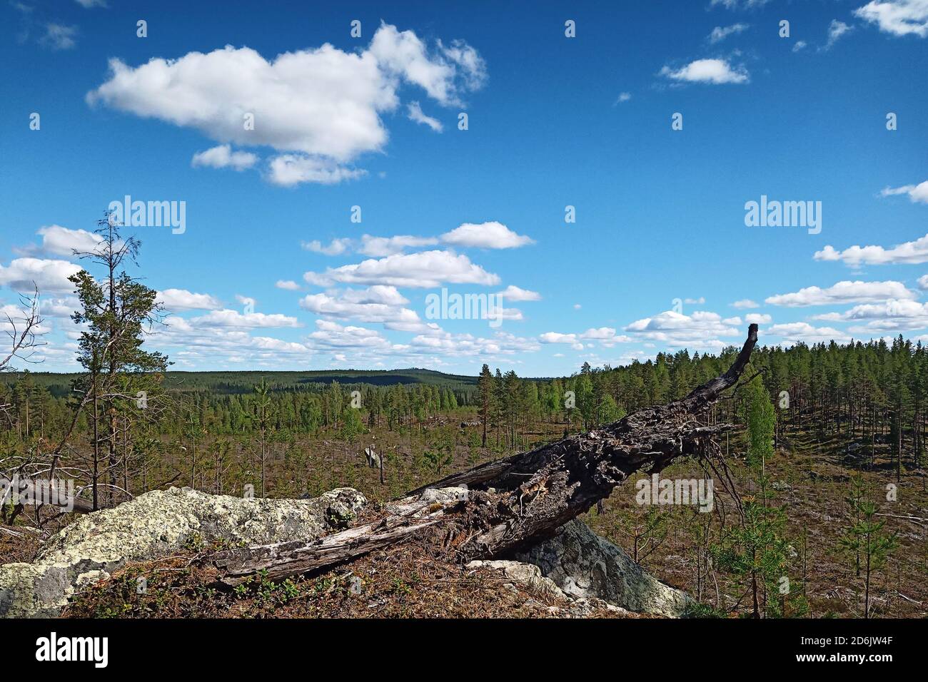Vasterbotten county hi-res stock photography and images - Alamy