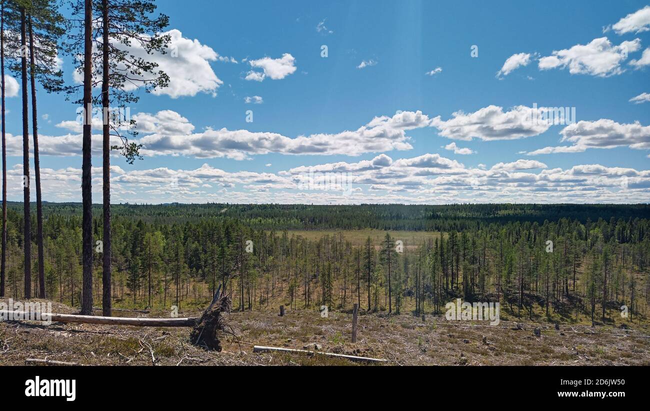 Vasterbotten county hi-res stock photography and images - Alamy