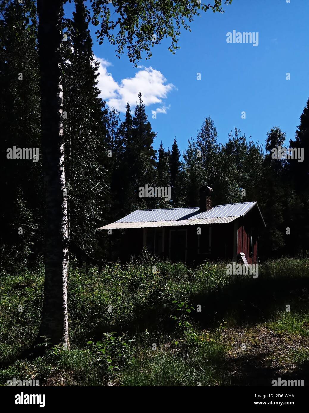 Very simple Swedish forest hut in the backlight Stock Photo - Alamy