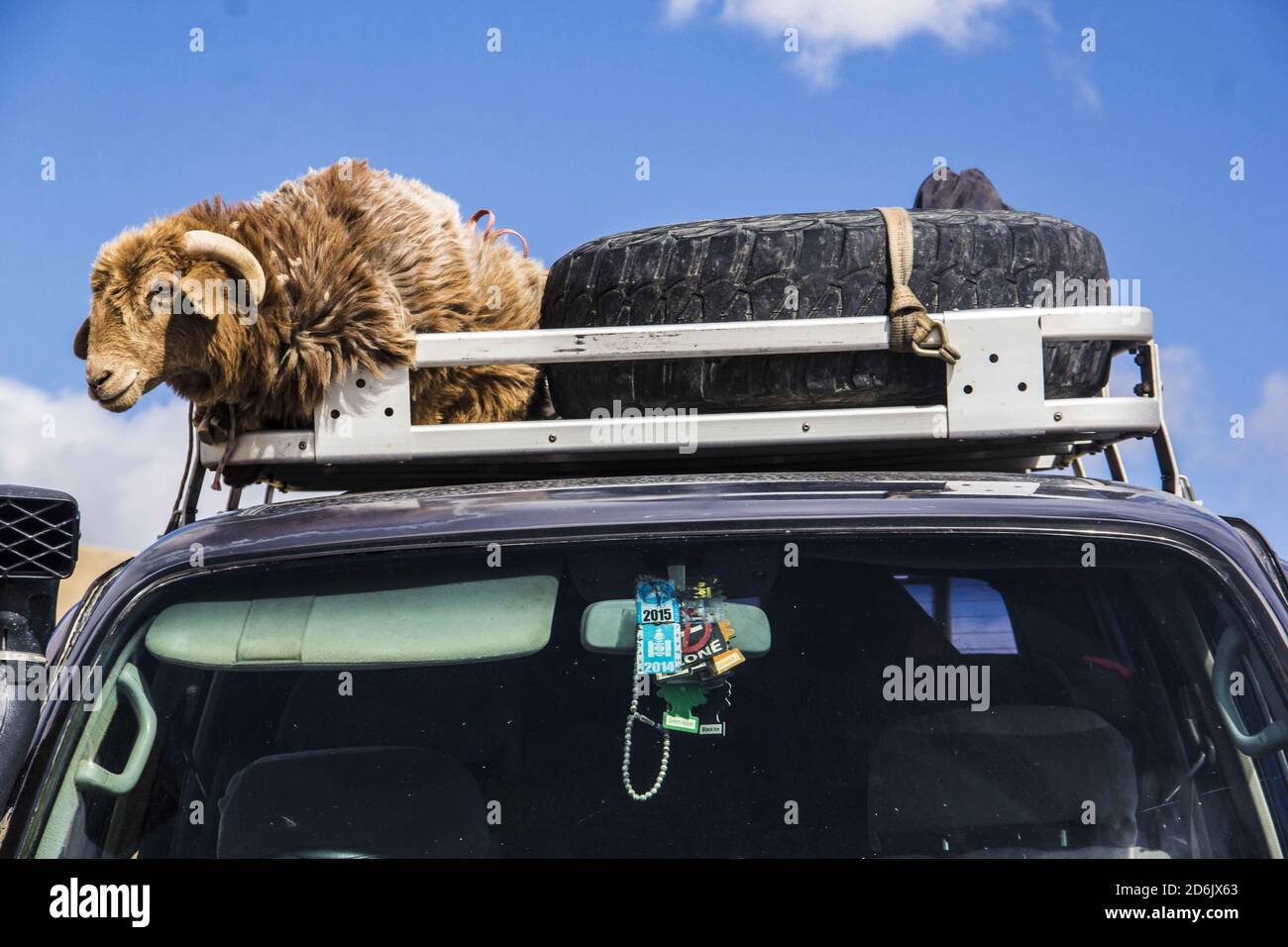 Cattle carrier hi-res stock photography and images - Alamy