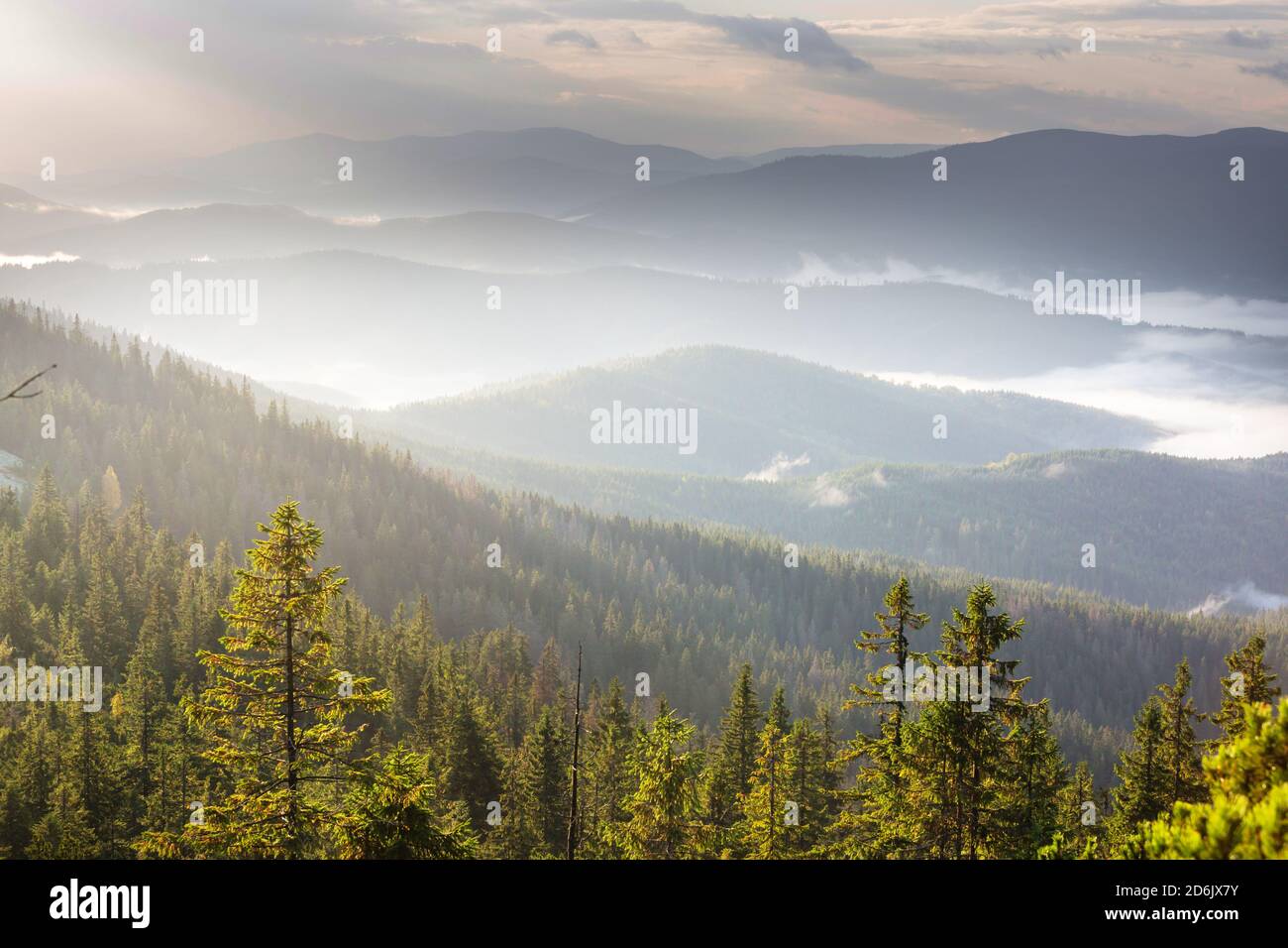 Beautiful natural landscapes in Carpathian mountains Stock Photo - Alamy