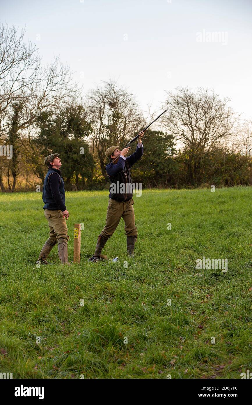 Partridge in stubble field hi-res stock photography and images - Alamy