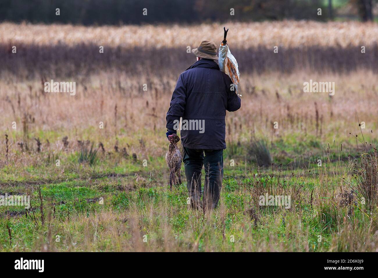 Driven hunt hi-res stock photography and images - Alamy