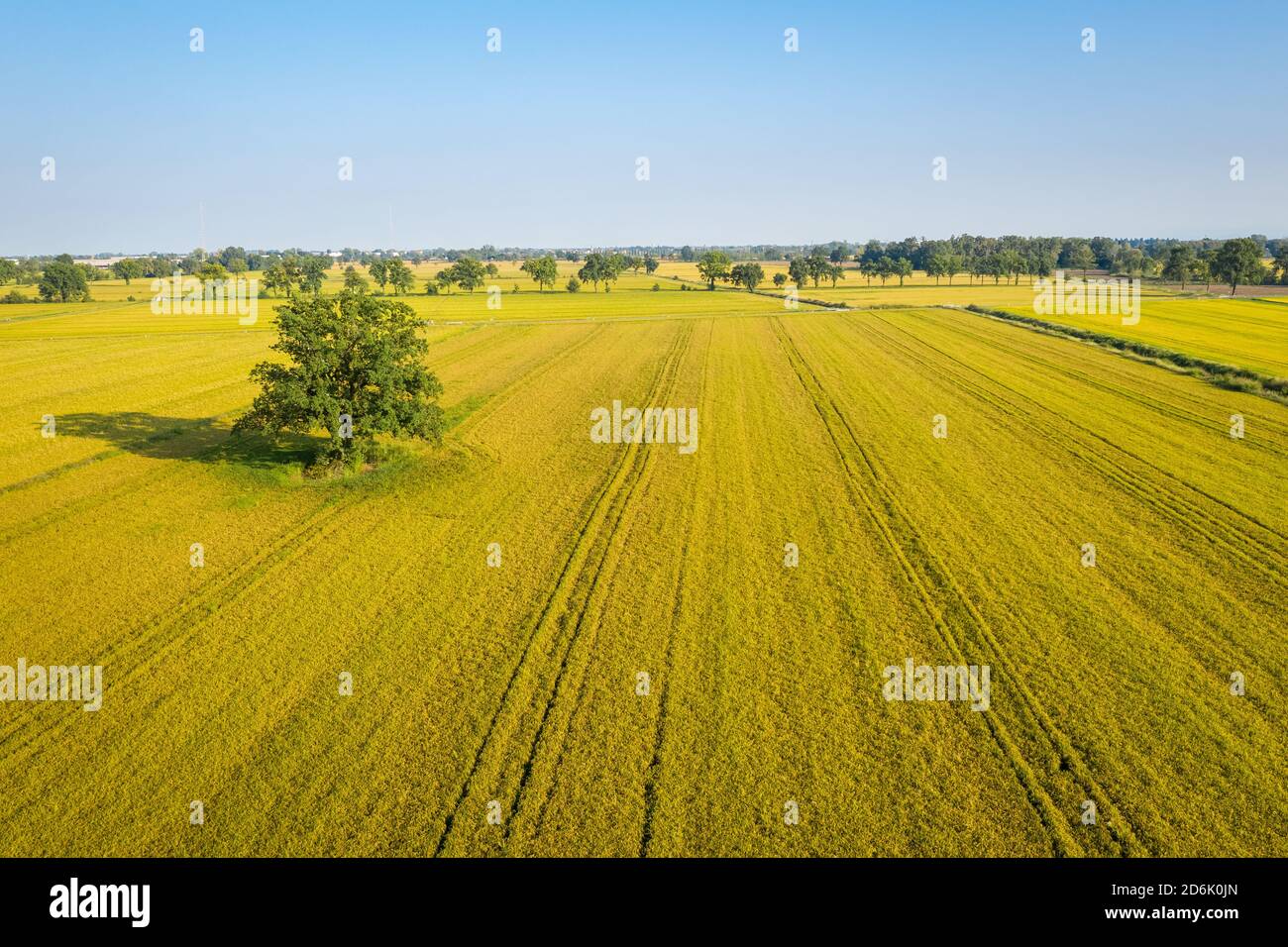 Aerial view of rice fields, North of Italy.Lombardy Stock Photo - Alamy